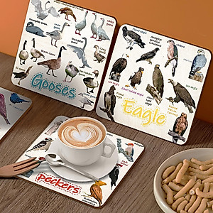 Set of 6 Bird Pun Coasters, Bird Pun Coasters for Drinks, Square Coaster Set for Cups Home Funny Coasters Set for Bird Lover Friends Bar Housewarming Gift Coffee