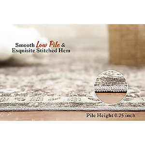 Rugland Stain Resistant Washable Rug, Anti Slip Backing Rugs for Living Room, Boho Vintage Tribal Area Rugs (TPR07-Ivory, 8'x10')