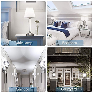 A21 Daylight Super Bright LED Light Bulbs 23 Watt, 150 Watt LED Bulb Equivalent, 5000K at 2500 Lumens, Standard Light Bulbs E26 Base, Home/Office Interior Frosted Decor Lights, Non-Dimmable (4-Pack)