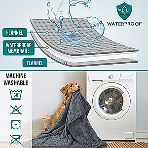 PetAmi Waterproof Dog Blanket, Leakproof XL Pet Blanket for Large Dogs, Furniture Sofa Couch Cover Protector, Fleece Cat Throw for Bed Crate Kennel, Reversible Washable Soft Plush, Twin 60x80 Gray