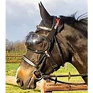 eVysor UV Protection Horse Riding Goggles by eQuick-it - MIrrored Blue Lenses