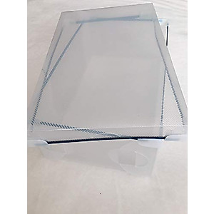 Epetbed 20 Pack Plastic Shoe Size Storage Top Lid Boxes Container for Closet Organizer