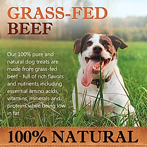 6-Inch Natural Bully Sticks for Dog & Puppies | 45 Pack | Low Odor Dog Chew Treats | Grass Fed Beef | Long Lasting Dog Chewing Bully Sticks for Dental Health