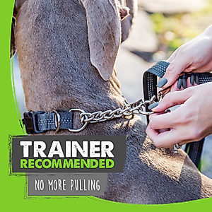 Mighty Paw Martingale Dog Collar 2.0 | Trainer Approved Limited Slip Collar with Stainless Steel Chain & Heavy Duty Buckle - Modified Cinch Collar for Gentle & Effective Pet Training - Large, Grey