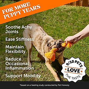 Pet Honesty Hemp Hip & Joint Supplement for Dogs - Hemp Oil & Hemp Powder - Glucosamine Chondroitin for Dogs, Turmeric, MSM, Green-Lipped Mussel, Supports Mobility, May Reduce Discomfort (Duck)