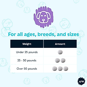 Minimal Ingredient Dog Probiotic to Alleviate Allergies, Infections, ‘n’ Digestive Issues