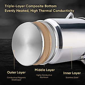 Kerilyn Deep Fryer Pot, 5L Stainless Steel Frying Pot With Basket, Fish Fryer With Transparent Lid, For Kitchen French Fries, Chicken Etc.