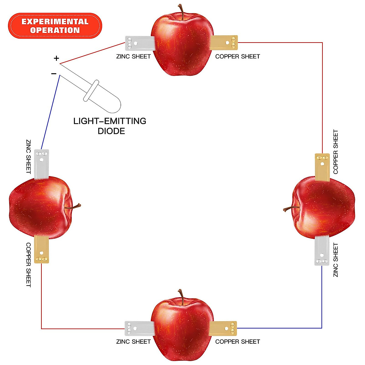 30pcs Zinc Copper Electrode Strip Rods, for DIY Fruit Battery Power Generation Experiment Materials, 15pcs Zinc 15pcs Copper