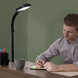 Bedford Home Sunlight Floor Lamp 5 Feet - Black