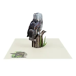 iGifts And Cards Majestic Owl 3D Pop-Up Greeting Card - 6"x8" Enchanting Forest Whispers Gift, Fun Present for Animal and Nature Lovers, Unique Ideas for Birthday, Graduation, Housewarming