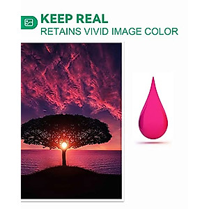 962XL Ink Cartridges Replacement for HP 962XL 962 XL Work for HP OfficeJet Pro 9015 9025 9010 9018 9020 9022 Printers(Black, Cyan, Magenta, Yellow, 4 Combo Packs)