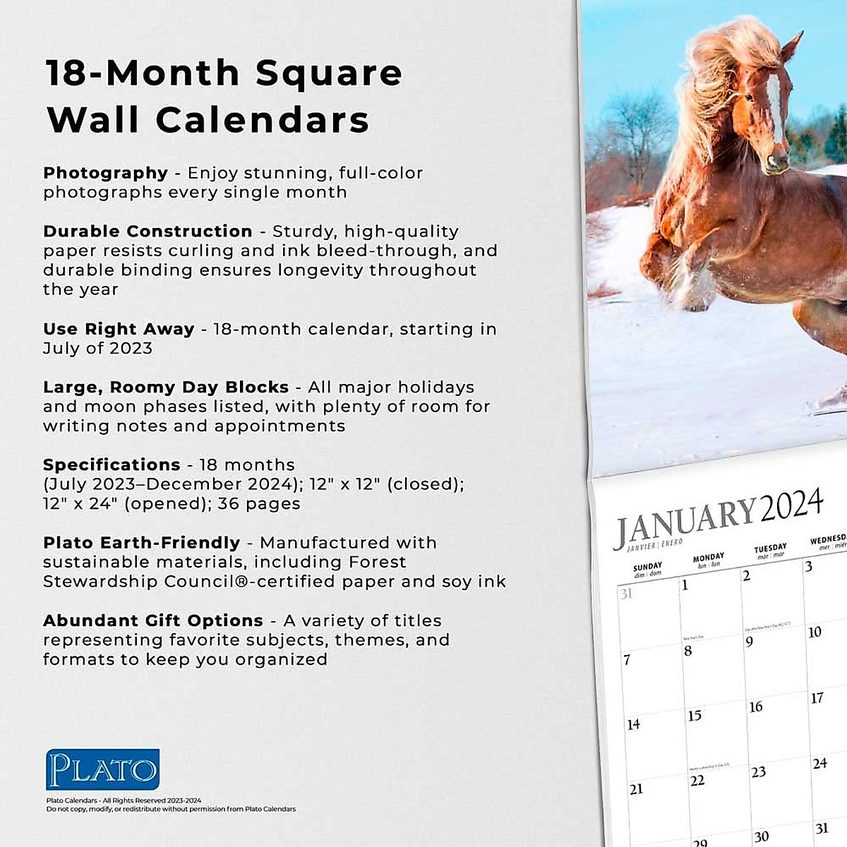 Magnificent Horses | 2024 12 x 24 Inch 18 Months Monthly Square Wall Calendar | Foil Stamped Cover | July 2023 - December 2024 | Plato | Animals Equestrian