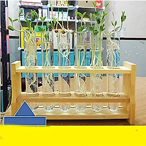 Dtacke Wood Test Tube Rack Labs Premium Wooden Test Tube Rack Test Tube Holder 6 Tube Capacity (0.82" (21mm) Holes)