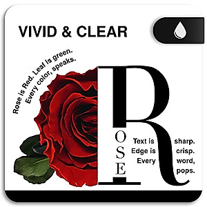 Inkworld Remanufactured 240XL 241XL Ink Cartridge Replacement for Canon 240 241 Combo Pack for Pixma MG3522 MG3600 MG3222 MG3220 MG3620 MX432 MG3122 TS5120 MG2120 MX452 MG2220 Printer (Black Color)