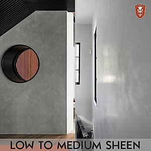 VASARI Lime Plaster & Paint | Marmorino Plaster (Fine Sand Finish) | Made from Natural Lime and Powdered Marble | color: Natural White #1 | Dry Mix Bag (Makes 5 Gallons of Plaster)