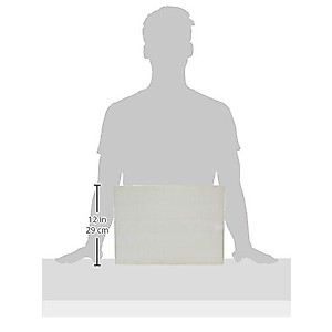 Sharp True HEPA Replacement Filter For FZ-A60HFU,Black