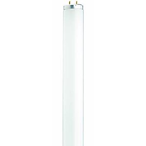 Sylvania 2 ft. 20-Watt Linear T12 Fluorescent Tube Light Bulb, Cool White (1-Bulb)