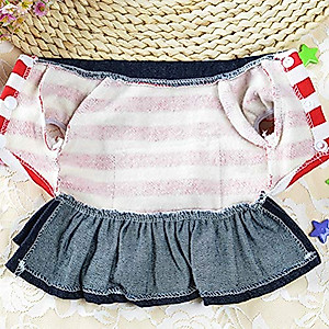 POPETPOP Denim Dog Dress - Cute Red Stripe Plush Bear Cowboy Pet Skirt, Pet Clothes for Small Medium Large Dogs Puppy, Pet Costumes