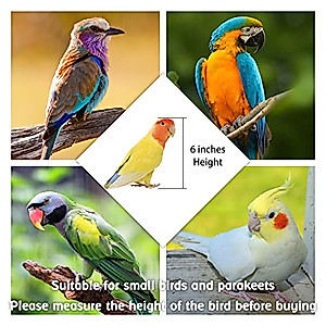 Flat top Bird Travel cage,21 inch Parrot Carrier with Wooden Perch Feeding Cup for Conures Cockatiel Parakeets（Aluminum Frame）