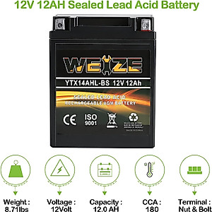 Weize YTX14AHL-BS High Performance - Rechargeable - Sealed Motorcycle Battery Compatible With Polaris Scrambler, Sportsman 90, Honda Scooters NQ50 Spree,Kawasaki 110 KLX110 Blue