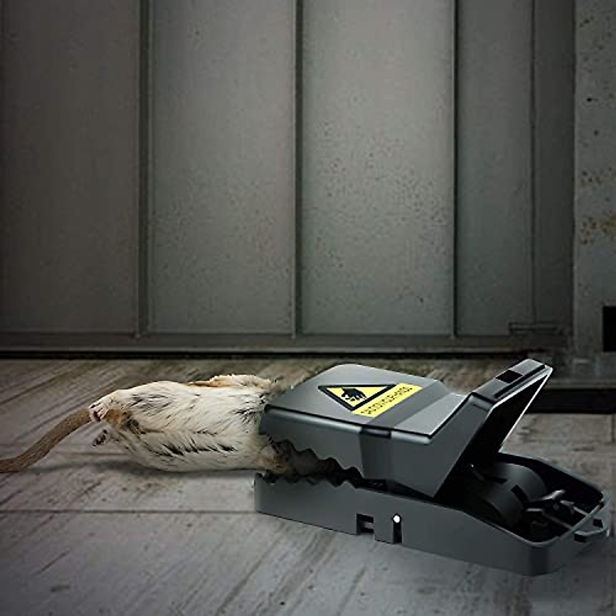 Mouse Traps, Mice Traps for House, Small Mice Trap Indoor Quick ...