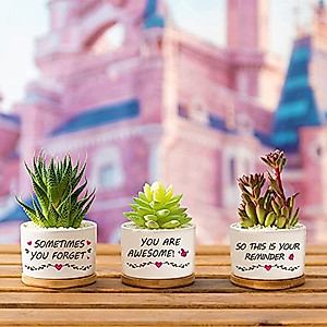 Inspirational Gifts for Women, You are Awesome, Birthday Gift for Grandma Mom Sister Friend, Garden Decor Planter Succulent Pots