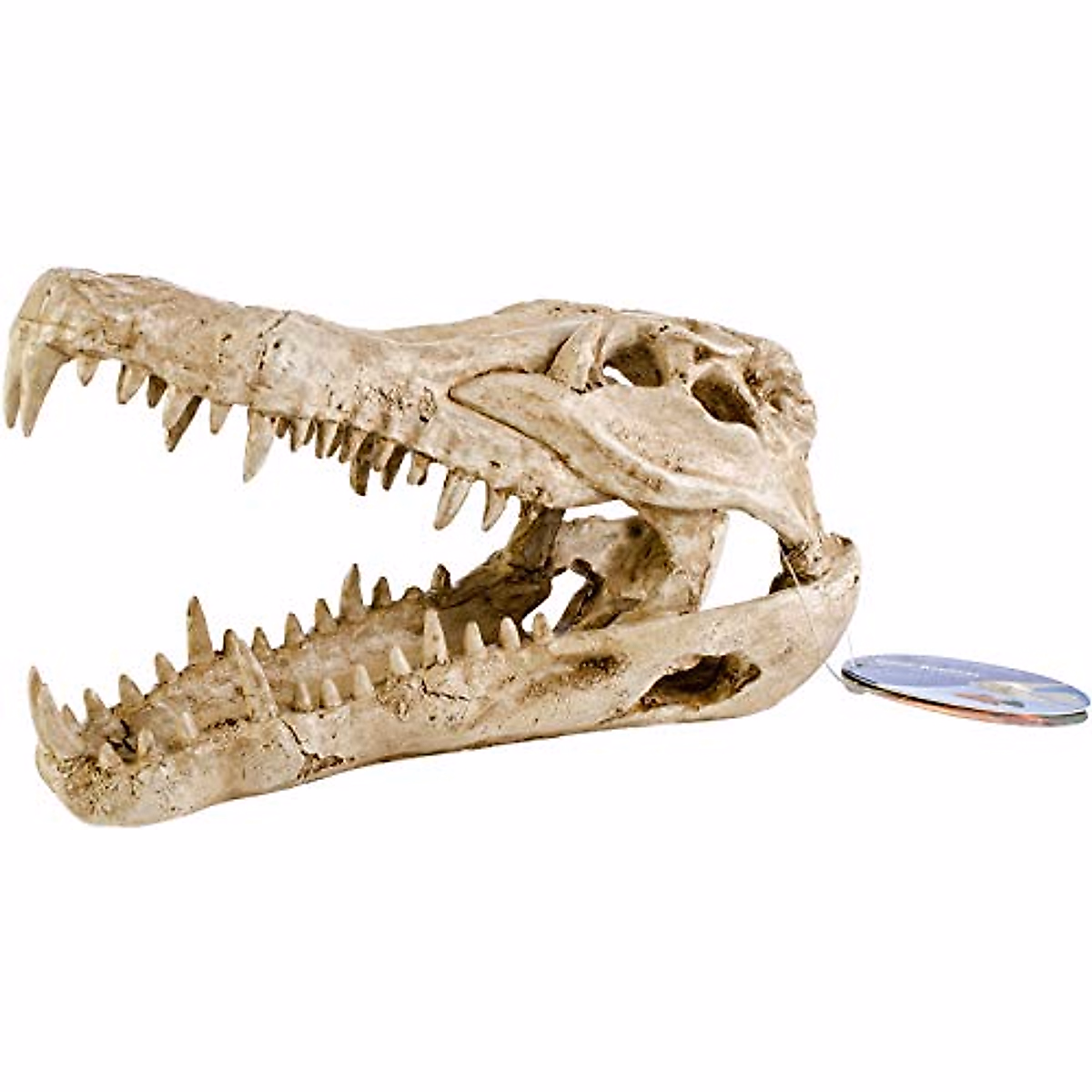 Penn-Plax RR1065 Crocodile Skull Animal Resin Ornament for Fish Tanks 9L x 4W x 5.5H"