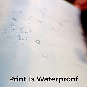 Star Wars – Obi Wan & Darth Vader – Obi Wan's Final Battle – Thomas Kinkade Studios – 14” x 10” Durable LightPix Everlasting Photo – Resistant to Tearing, Bending, Water and Fading – Officially Licensed Collectible – Frame Sold Separately