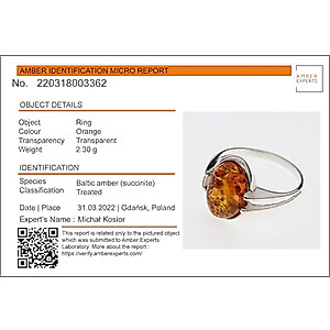 HolidayGiftShops Sterling Silver and Baltic Honey Amber Adult Ring Federica- Size 7.5