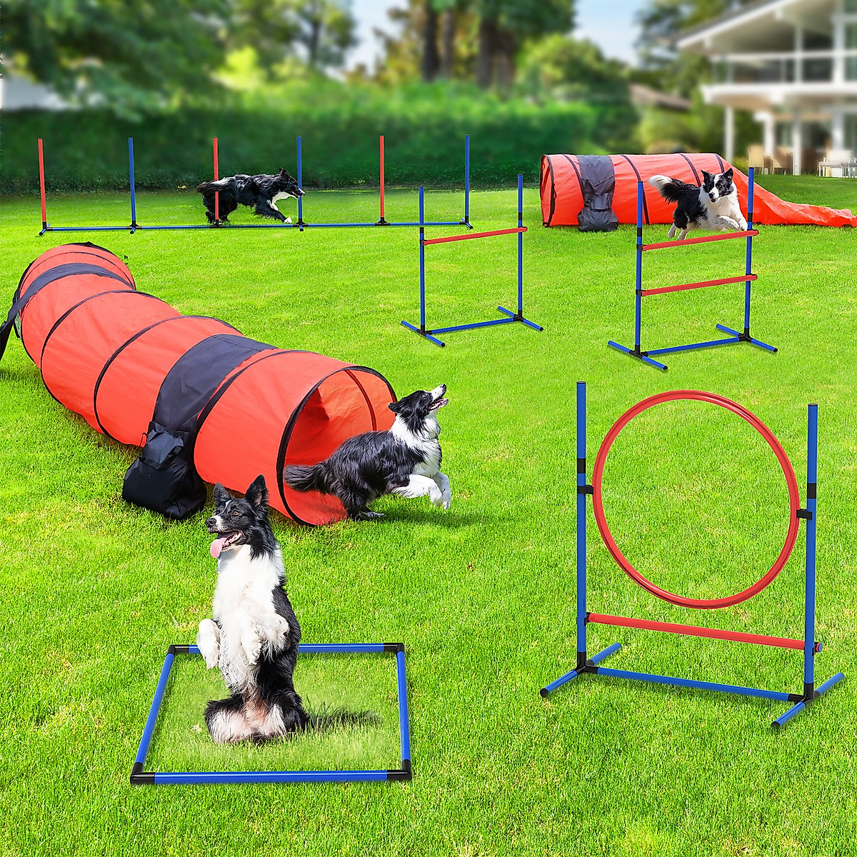 YITAHOME Dog Agility Equipments, Includes Flirt Pole Toy, 3 Flying Discs, 2 Agility Tunnel, 3 Jumps, 6 Weave Poles, Pause Box,Agility Course Set for Backyard, Indoor, Outdoor