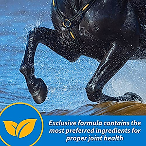 Farnam Fluidflex Liquid Joint Supplement for Horses, Helps Maintain Healthy Hip & Joint Function, 32 Ounces 32 Day Supply