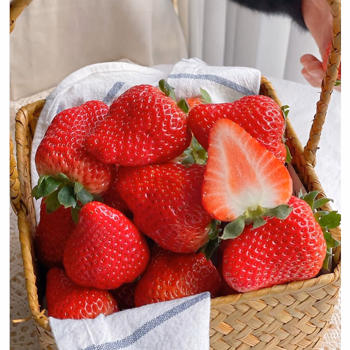 ZEshops 200pcs Cream Strawberry Seeds - Hardy Perennial Herb, Fall & Spring Planting, Vibrant Multi-Color Harvest (Red Strawberry)
