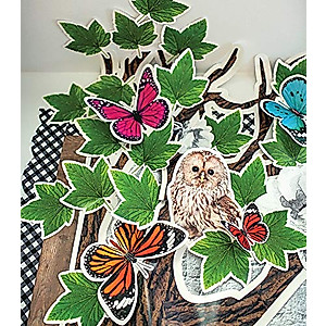 Schoolgirl Style Woodland Whimsy Collection—Bulletin Boards, Bulletin Board Borders, Inspirational Posters, Cutouts, Nameplates, Homeschool or Classroom Décor (374 pc)