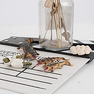 Fantarea 4 PCS Wild Wildlife Animal Figures Creatures Action Models Life Cycle Crocodile Alligator Figure Ornament Cake Toppers Party Favors Supplies Cognitive Toy for Boys Girls Kids