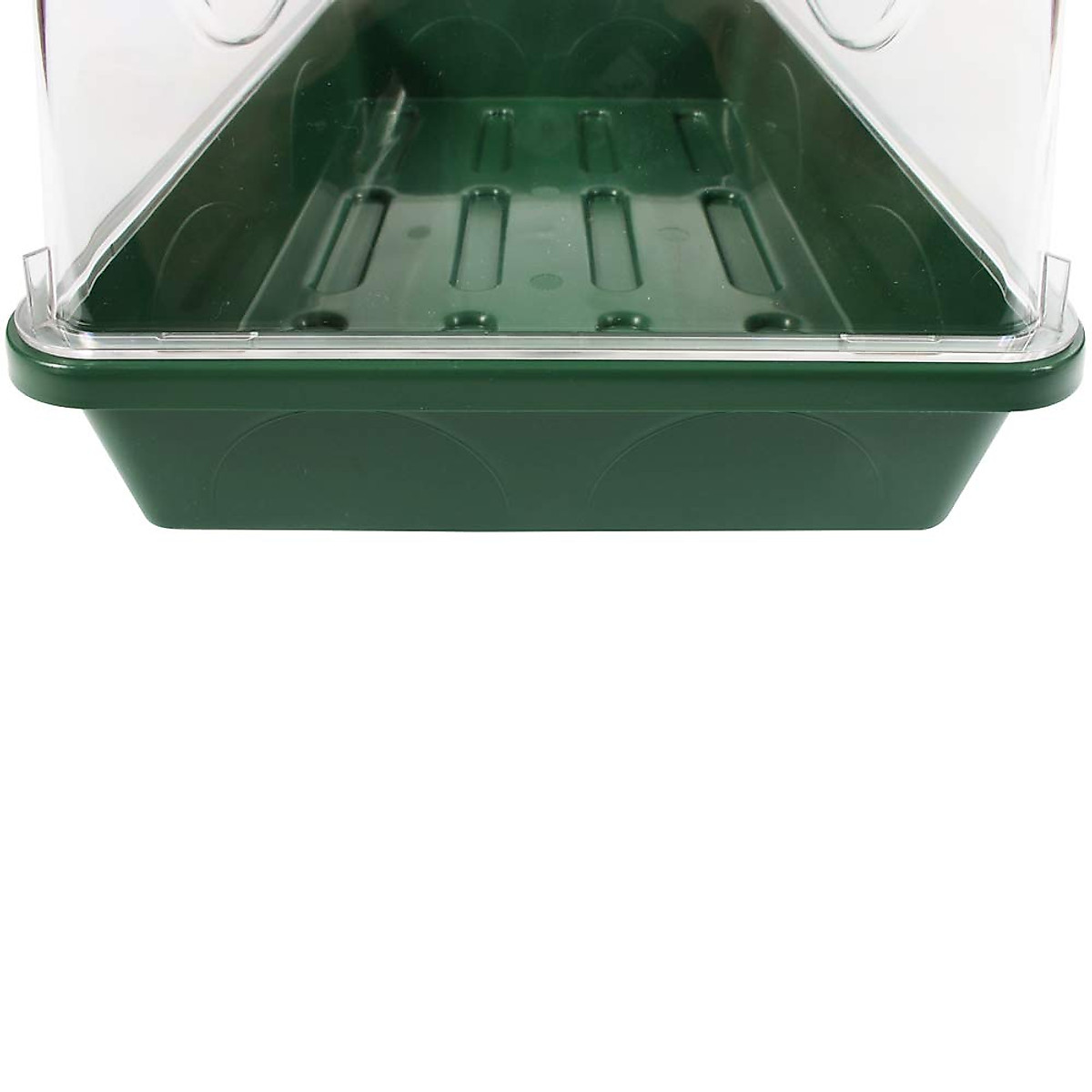 EarlyGrow 93763 Medium Seed and Herb Domed Propagator with Vented Side Height Extension, Green