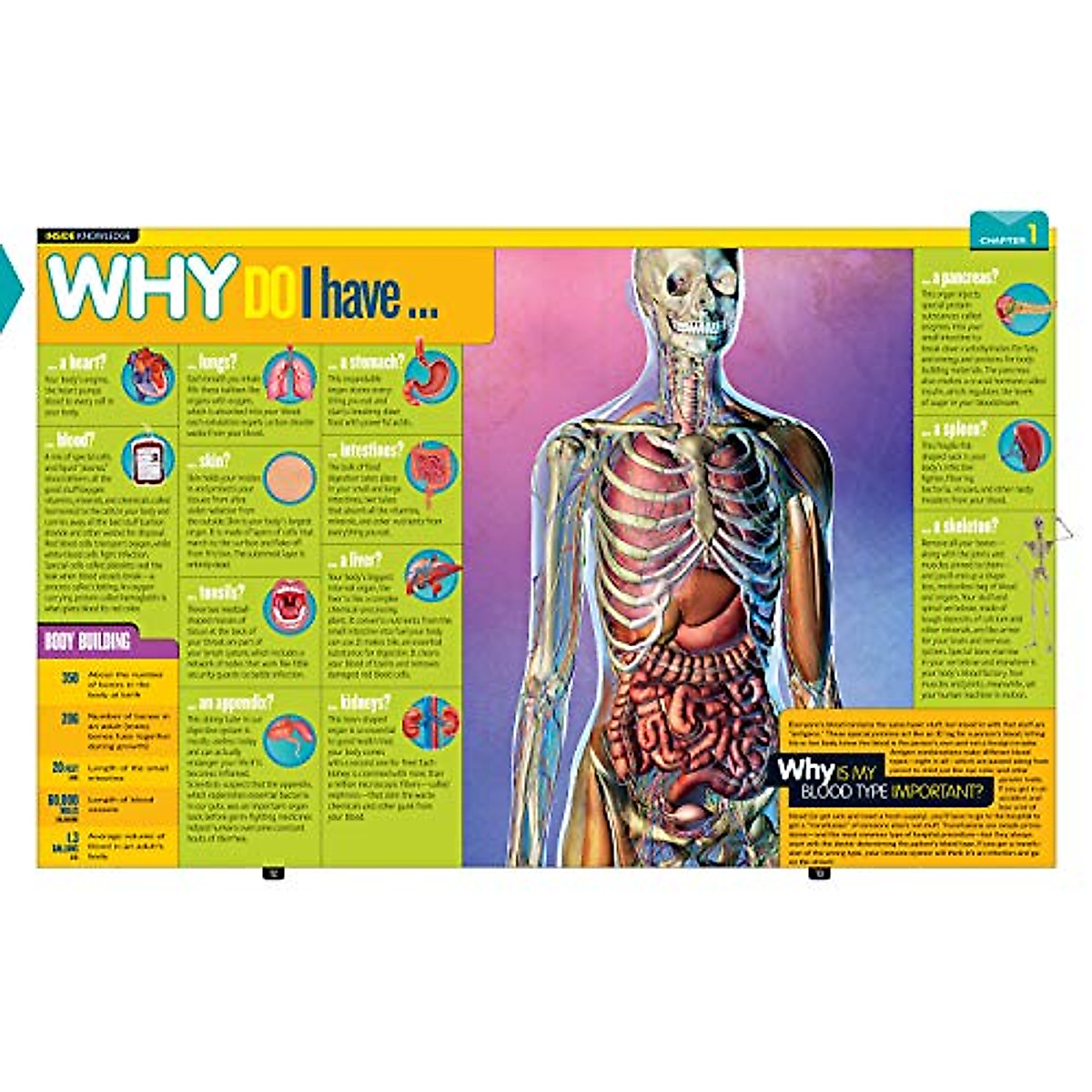 National Geographic Kids Why?: Over 1,111 Answers to Everything