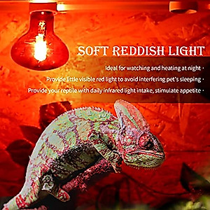 HANJION 2 Pack 100W Reptile Heat Lamp Bulb, UVA Reptile Infrared Basking Bulb, Red Glass Heat Bulbs for Reptiles and Amphibians, Bearded Dragon, Lizard, Tortoise, Hedgehogs