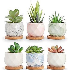 ilohaus Succulent Pots Set of 6, Plant Pots Indoor, Succulent Planters, Small Plant Pots, Cactus Pot, Cute Plant Pots, Small Flower Pots, Small Succulent Pot, Small Planter Set