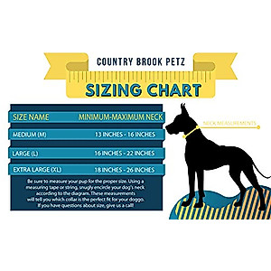 Country Brook Petz - 1 1/2 Inch Premium Bright Paisley Dog Collar, Large