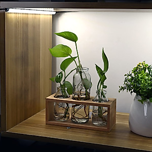 Litever LED Safe Lighting Kit. Door Control Activated. 6 pcs Slim 12 inch Light Bars. Linkable Extendable Plug-in for Gun Safe, Closet, Showcase, in-Cabinet Under Counter Pantry. Daylight 5000K