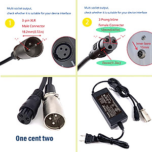 24V2A 3 Prong and 3-pin XLR Connector Lithium Battery Charger for Razor Go-Go Elite Traveller SC40E/SC44E, Ezip Mountain Trailz,Schwinn 4.0 S400 S500 Jazzy 29.4V All Brands Power Charger