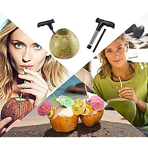 2 Pack Coconut Opener Tool with 4 Reusable Straws and Brush, Easy & Convenient Straw Hole Maker, Food Grade Stainless Steel Coconut Opening Tool Pouch Tap for Young Fresh Thai Hawaii Coco Water Juice