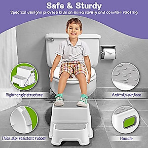 Step Stools for Kids, 2 Step Stool with Anti-Slip Surface and Rubber Bottom, Toddler Step Stool Poop Stool for Toilet Potty Training, Bathroom, Kitchen (Include 2 Ducks) Gray