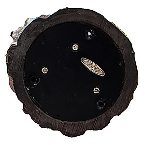 Climbing Koala Family 100MM Musical Water Globe Plays Tune Born Free