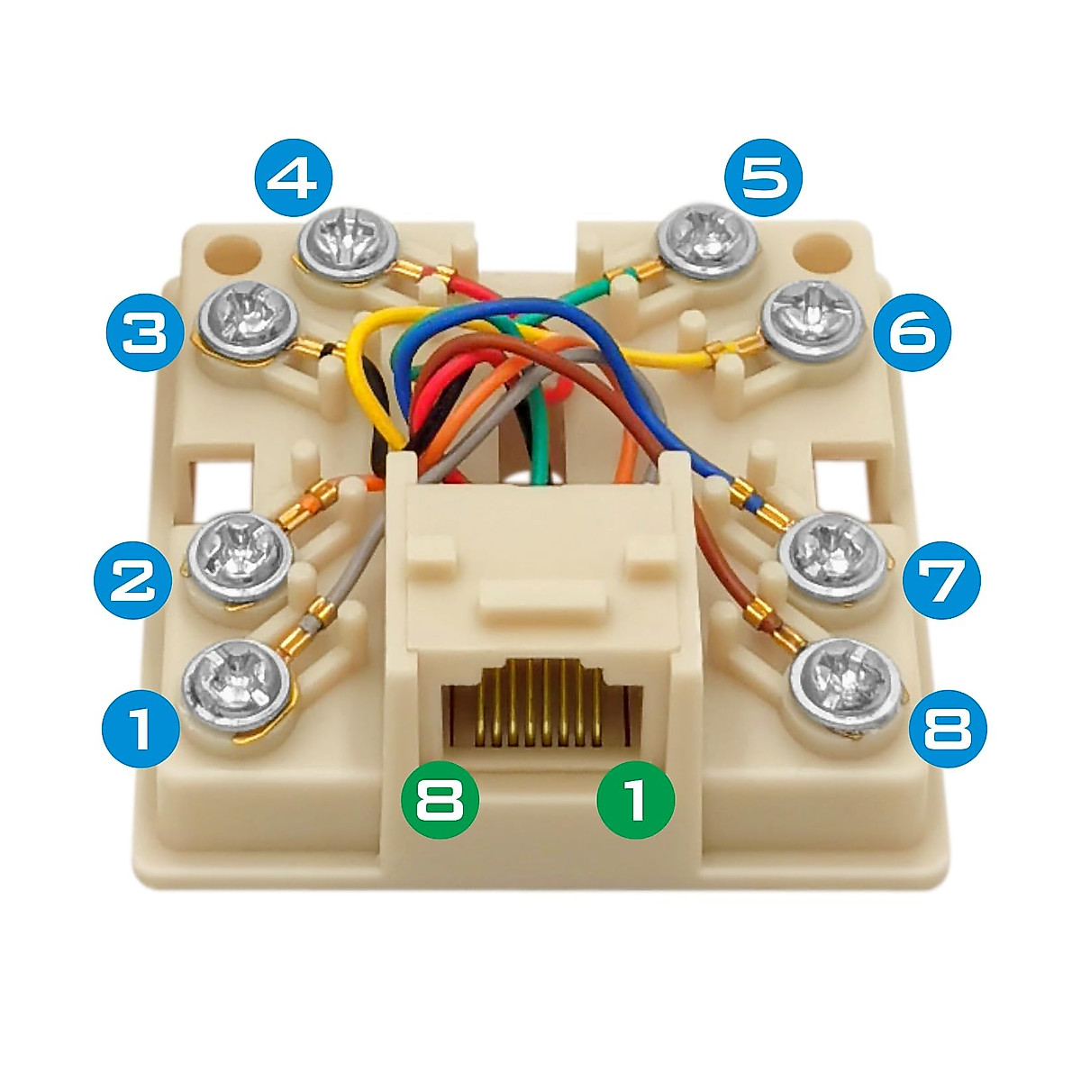 NECABLES RJ31X Phone Jack Telephone Terminal Block with Shorting Bar Surface Mount 8 Screw Terminals to RJ31X 8P8C Female