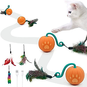 RRETECK Automatic Moving Cat Toys, Cute Interactive Cat Toys for Indoor, Cats Ball Bundle + Feather Kitten Toys in Pack. Smart Electric Teaser Cat Feather Toys, USB Rechargeable, 3 Feathers