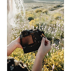 Lexar Professional 2000x 128GB SDXC UHS-II Memory Card, 2-Pack