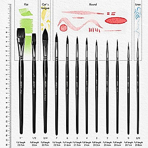 ARTIFY 12 Pieces Watercolor Paint Brushes, Intermediate Series, Synthetic Nylon Brushes for Watercolor, Acrylic, Gouache & Oil Painting, Includes Round, Flat, Cat's Tongue