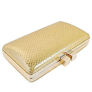Metallic material Box Clutch, gd4