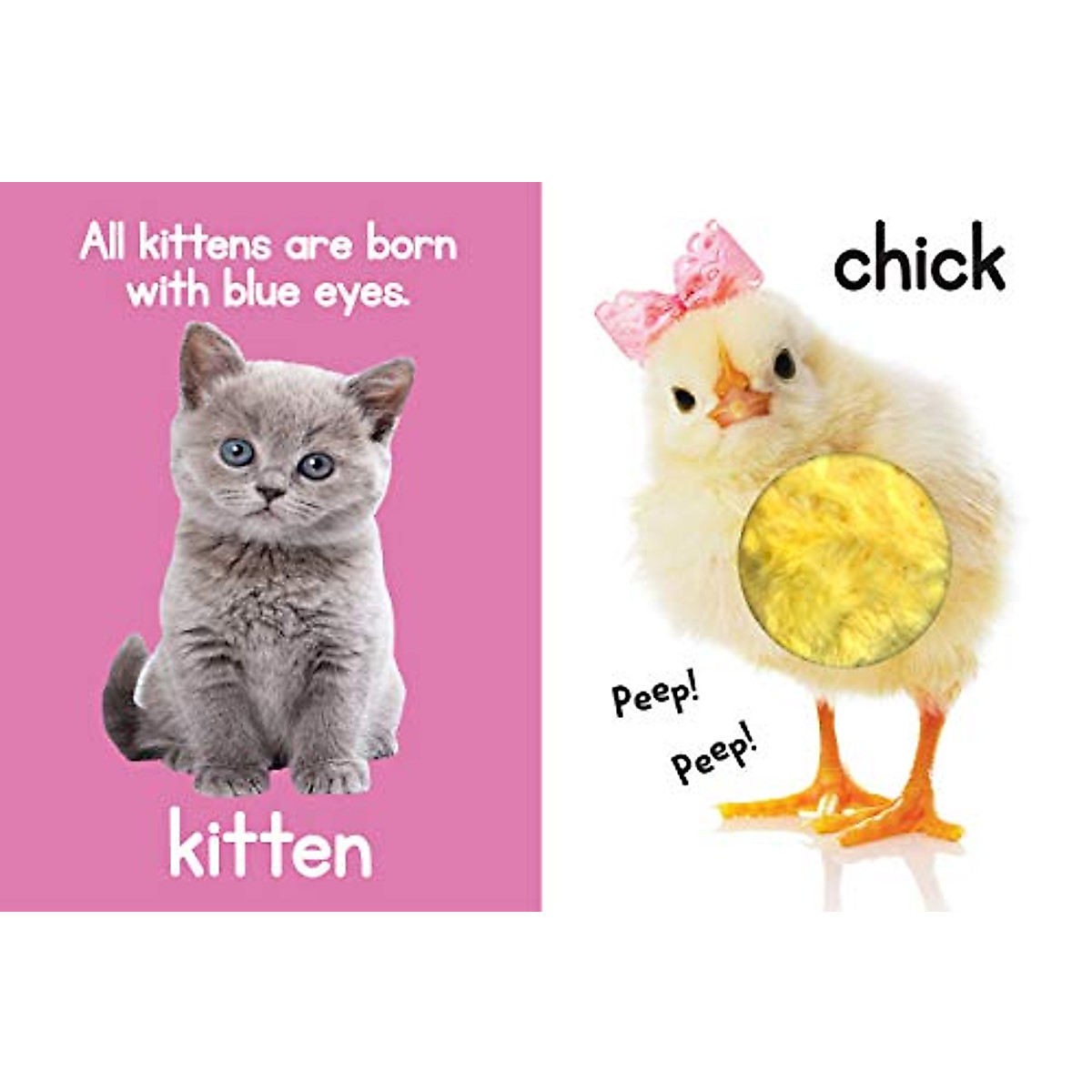 Adorable Animals - Touch and Feel Board Book - Sensory Board Book